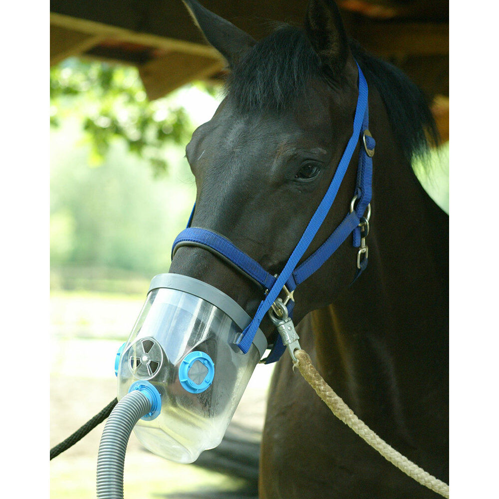 Der Pferde-Inhalator im Verleih - Horse Support