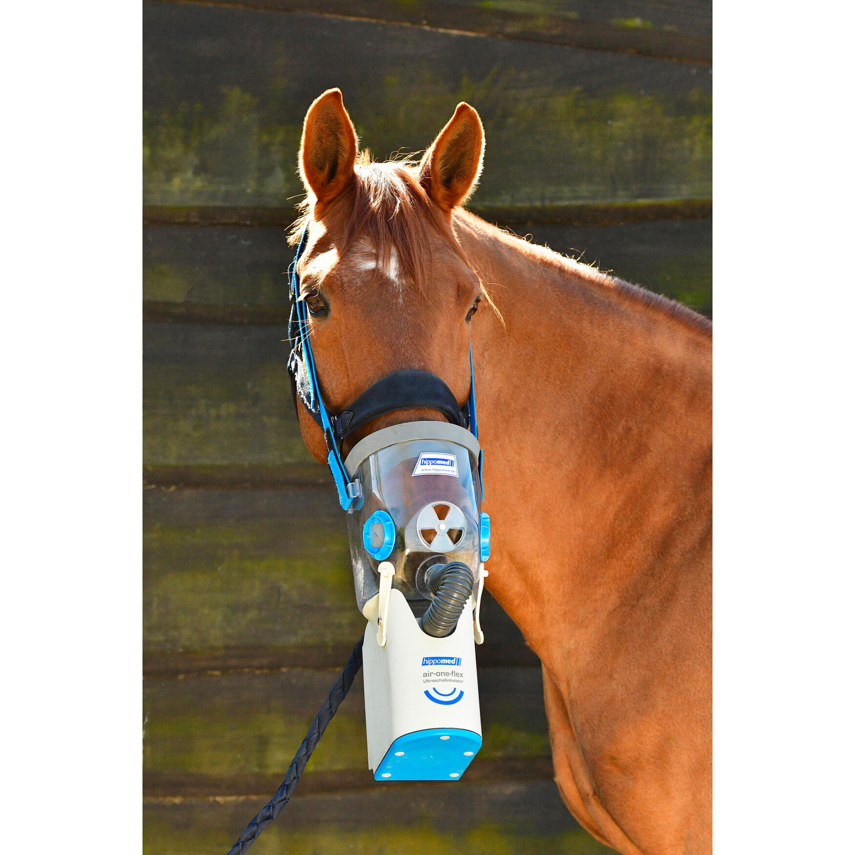 Air One Flex: Ultraschall-Inhalator für Pferde - Horse Support